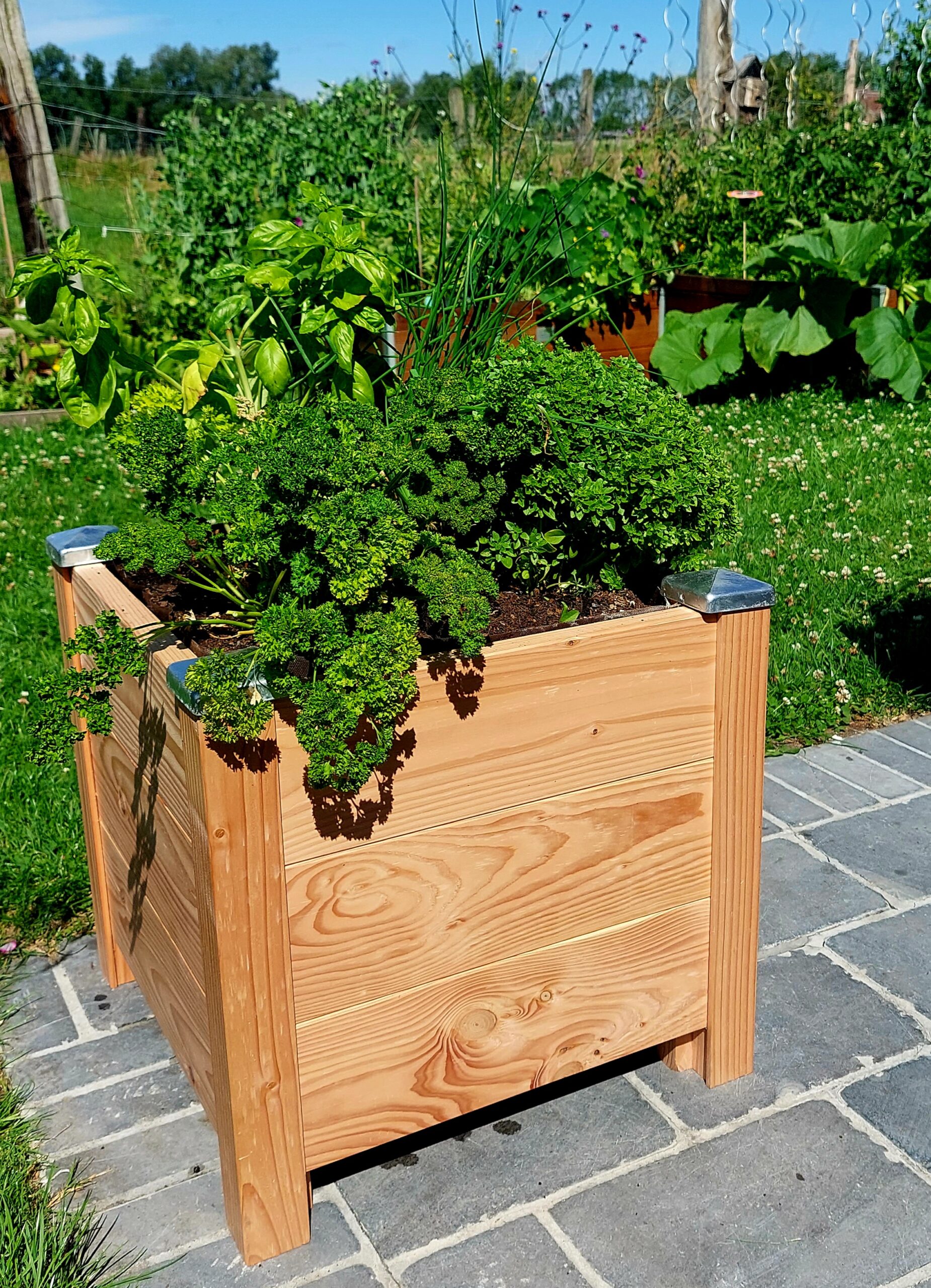 Bac Douglas Premium - Modèle S - Mon petit potager