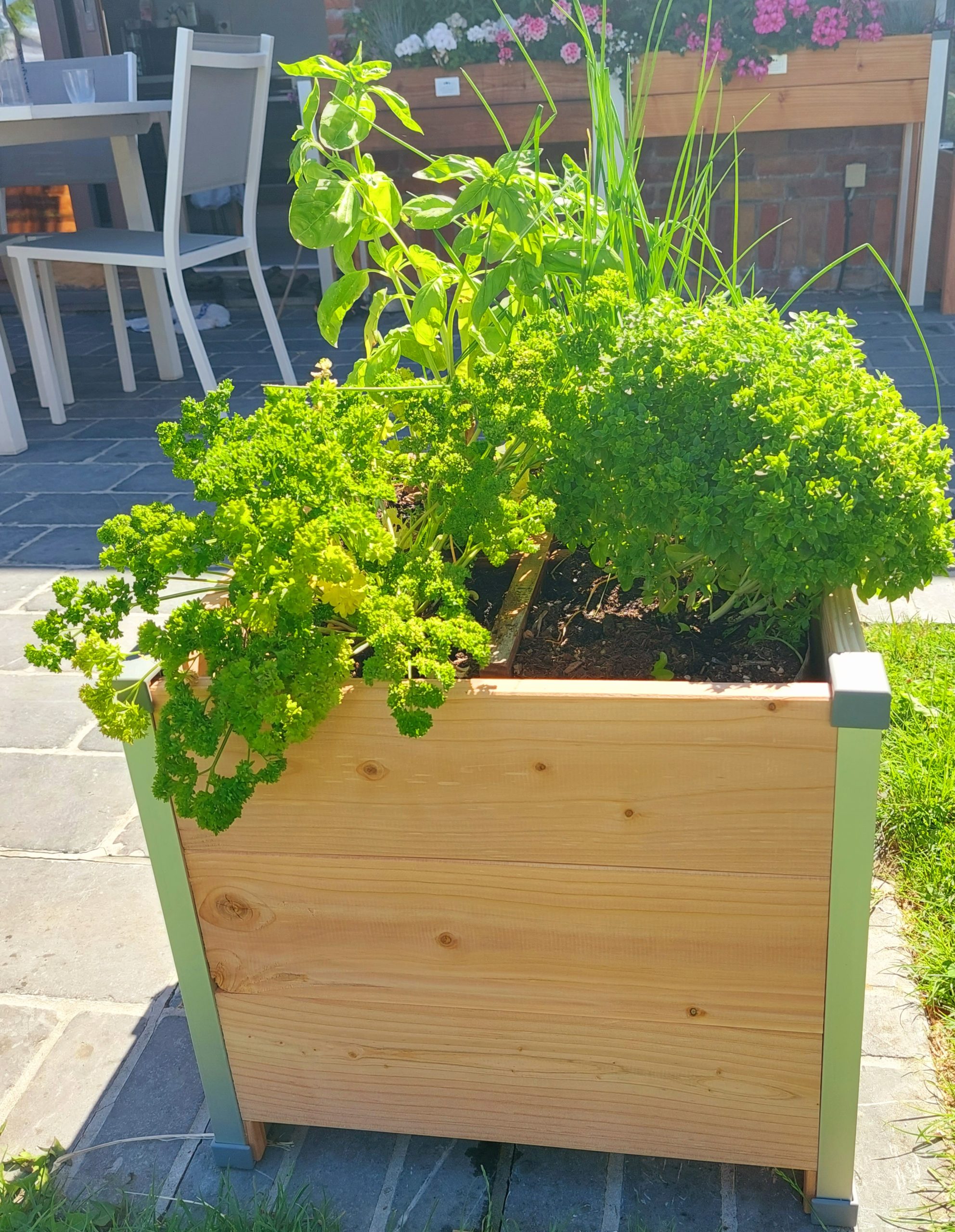 Bac Douglas Terrasse Design - Mon petit potager