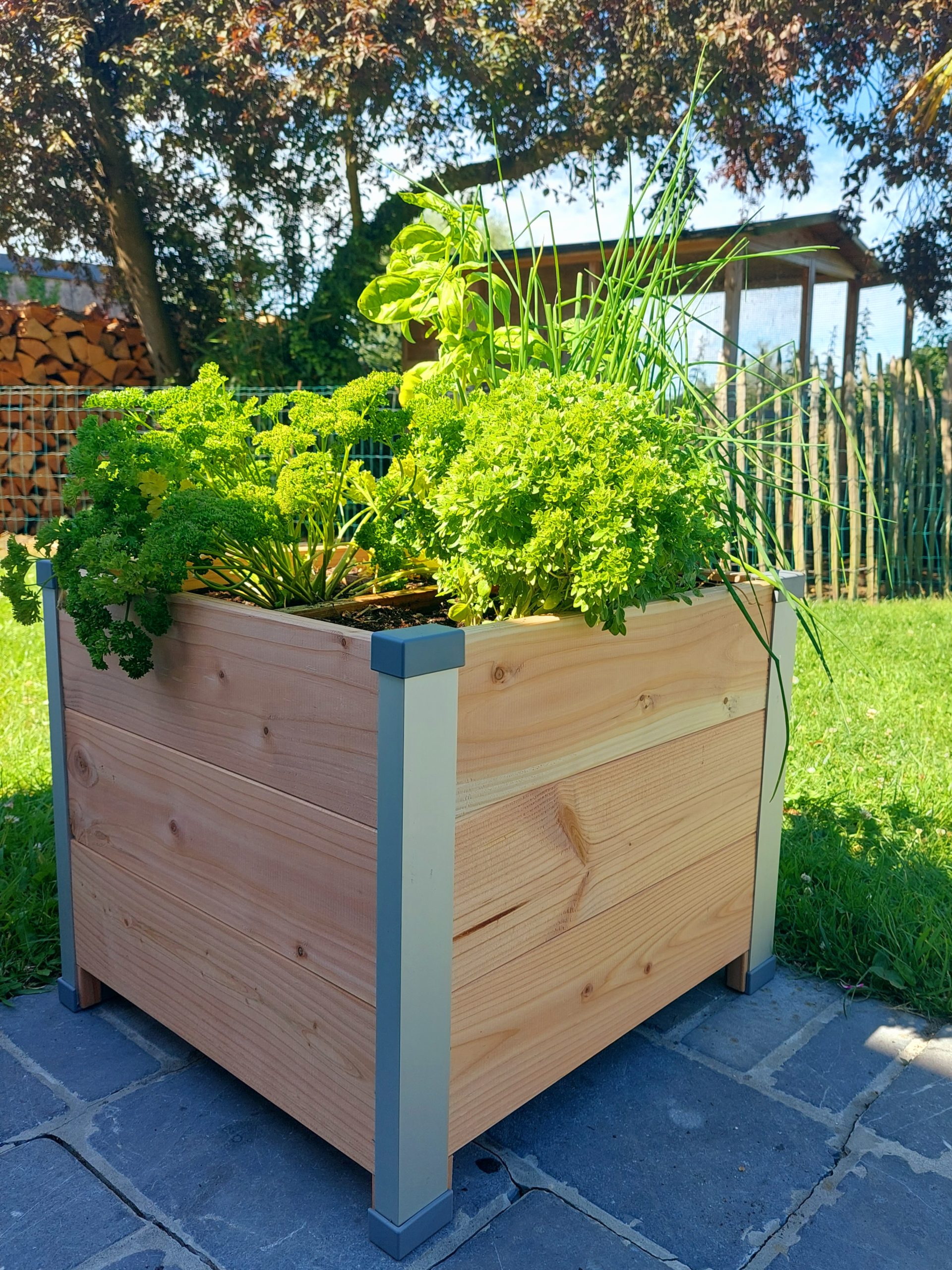 Bac Douglas Terrasse Design - Mon petit potager